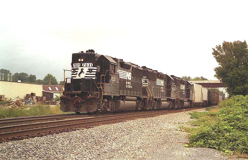 NS'S Piedmont Division